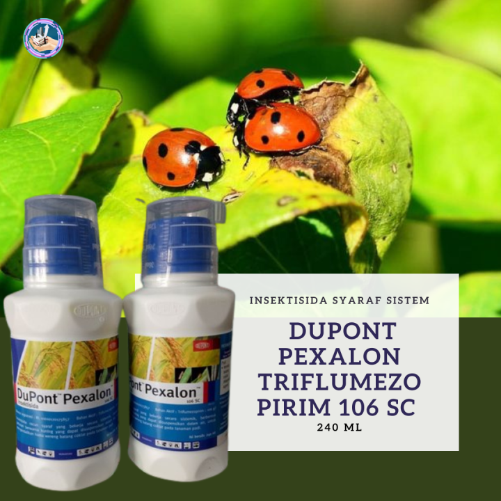 Insektisida Dupont Pexalon Triflumezopirim 106 SC 240 ml | Insektisida ...