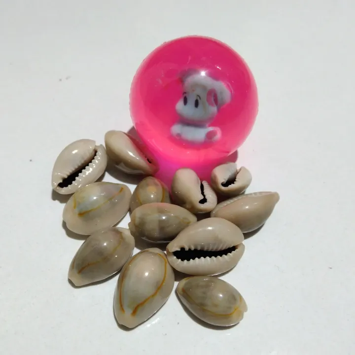 Mainan bola bekel besar dilengkapi 12 biji kerang MAINAN ANAK PERMAINAN ...