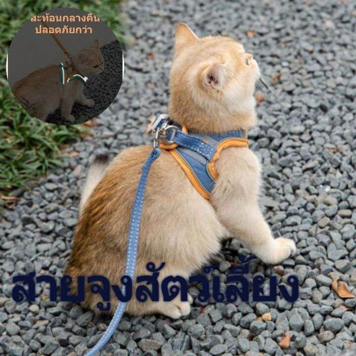 【Dargly】พร้อมส่ง สายจูงสัตว์เลี้ยง สายรัดอกสุนัข ผ้าระบายอากาศ สายจูงแมว Colorful Reflective ...