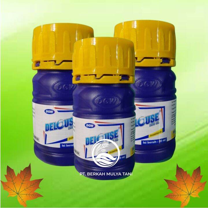 Insektisida Sistemik Delouse 200SL DGW 80 ml | Lazada Indonesia