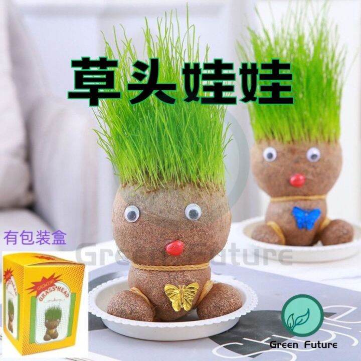 长草娃娃 Grass Head Toy Planting for Children 草头娃娃 儿童礼物 Ryegrass Grass Head ...