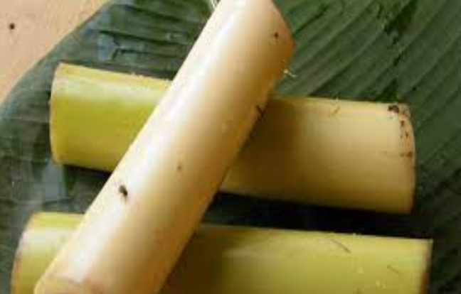 Umbut pisang, banana | Lazada