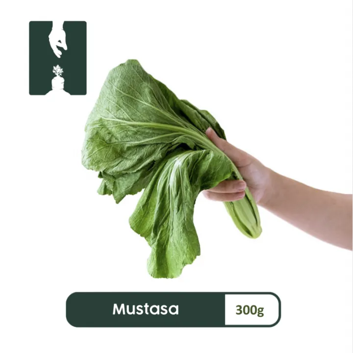 Mustasa - 100g | Lazada PH