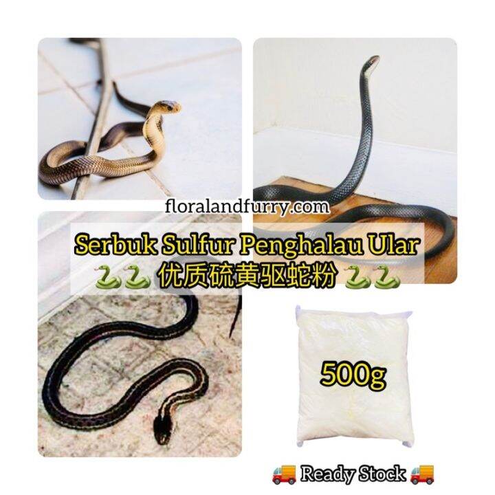 500g Serbuk Kuning Belerang Halau Ular Sulfur Belelang 优质硫黄粉 驱蛇粉 ...