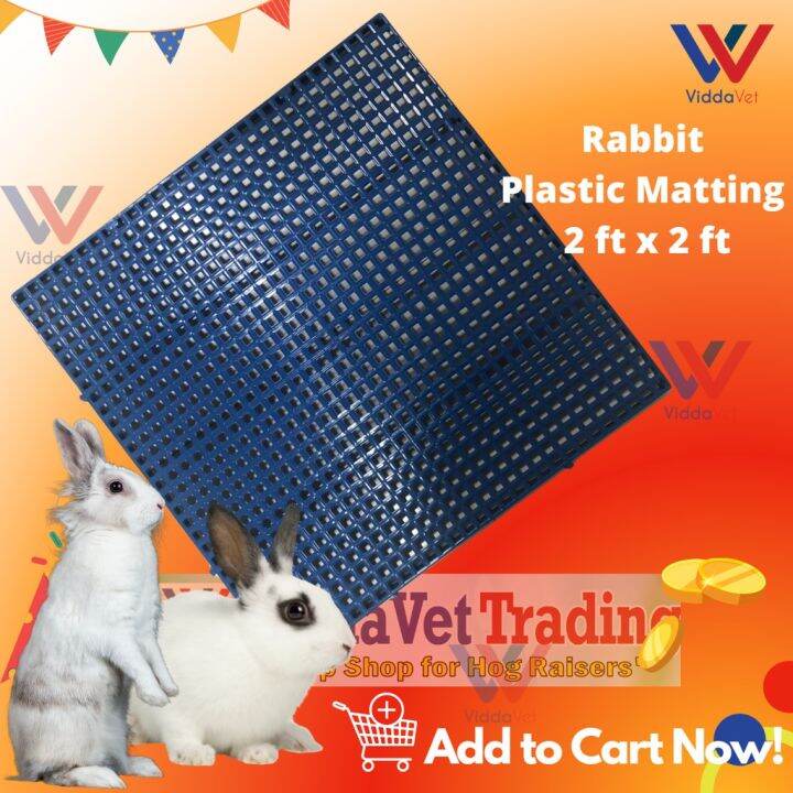 BLUE 2 ft X 2 ft Plastic Matting for Rabbits Heavy Duty Rabbit matting ...