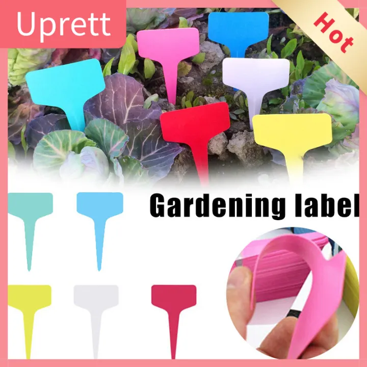 Upretty 100 Pcs Garden Labels Gardening Plant Classification Sorting ...