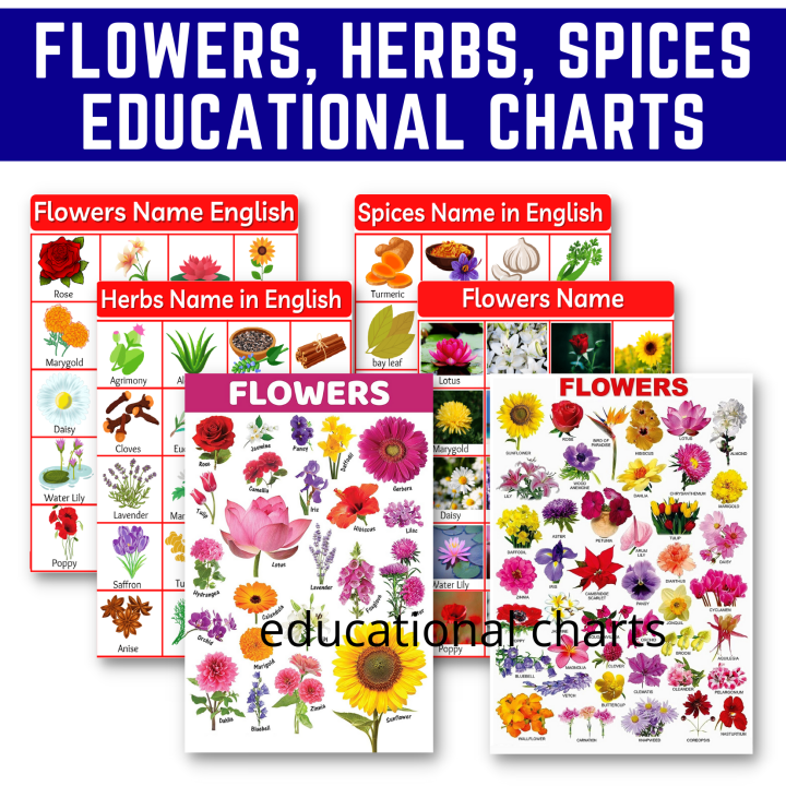 Kinds of Flowers. Herbs and Spices Educational Chart, A4 Size Laminated ...