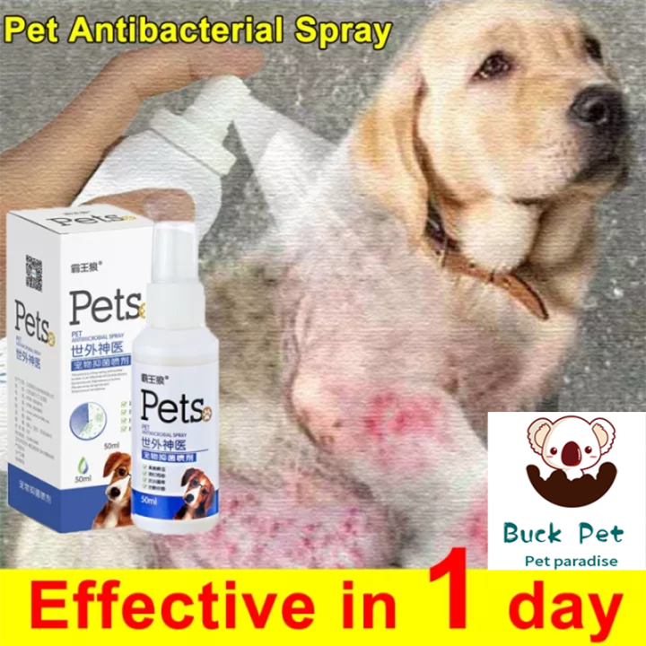 Pet antibacterial spray dog dermatosis fungal infection bactericidal ...