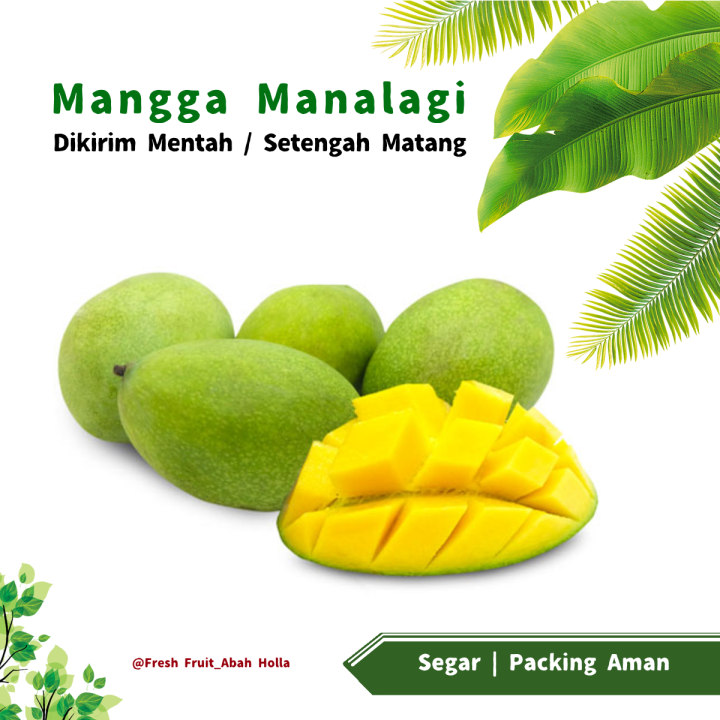 MANGGA MANALAGI 1 KG | MANGGA MADU | MANIS | STOK BARU | Lazada Indonesia