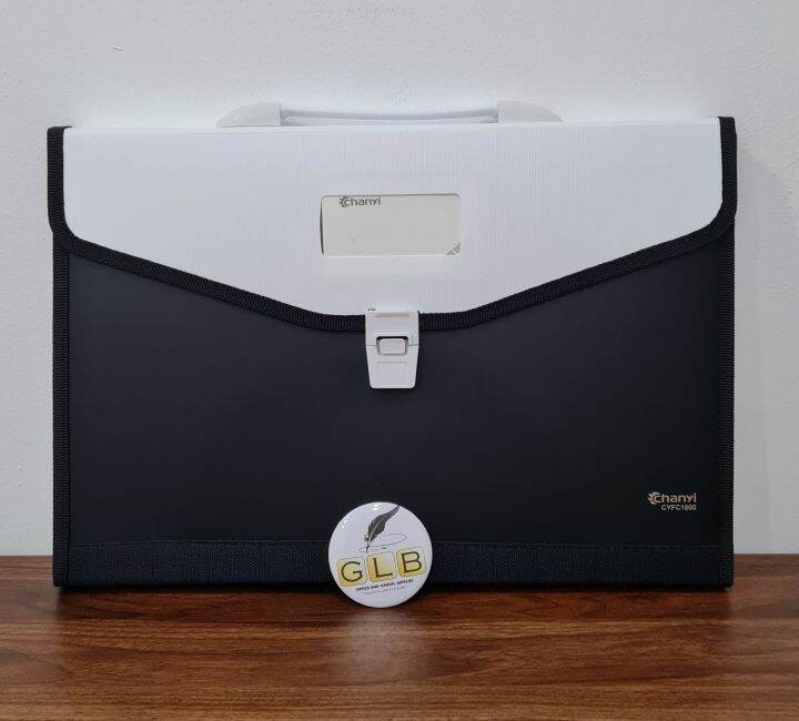 EXPANDED ENVELOPE W/HANDLE LONG SIZE | Lazada PH