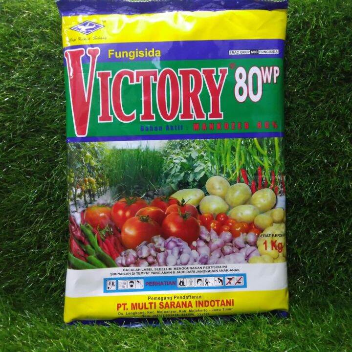 VICTORY 80 WP 1KG fungisida kontak protektif untuk mengendalikan ...
