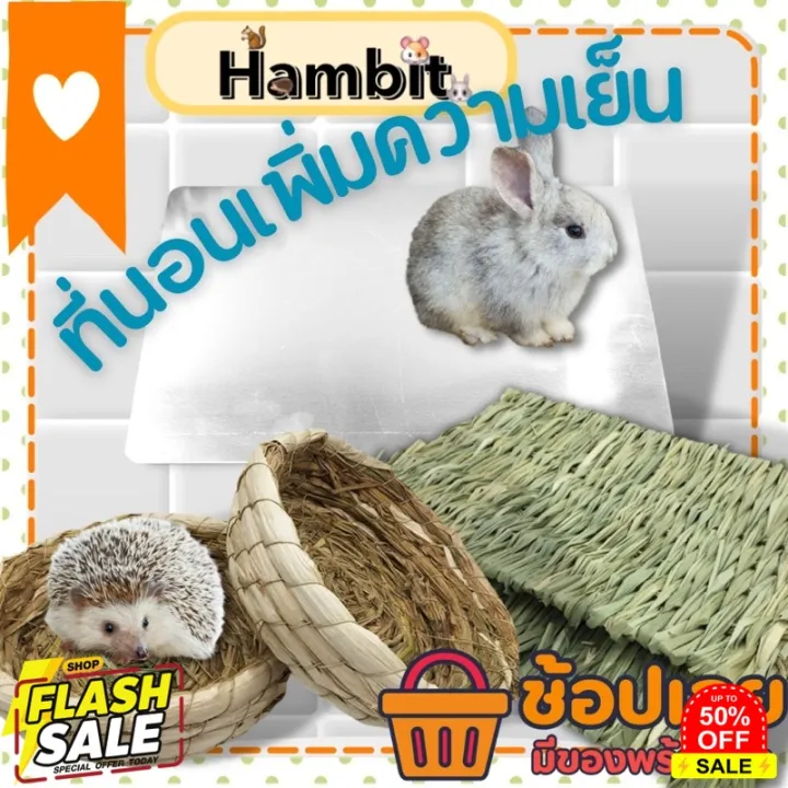 HukOneShop Hambit. แผ่นรองกรง เพิ่มความเย็น รองกรงแฮมสเตอร์ รองกรง ...
