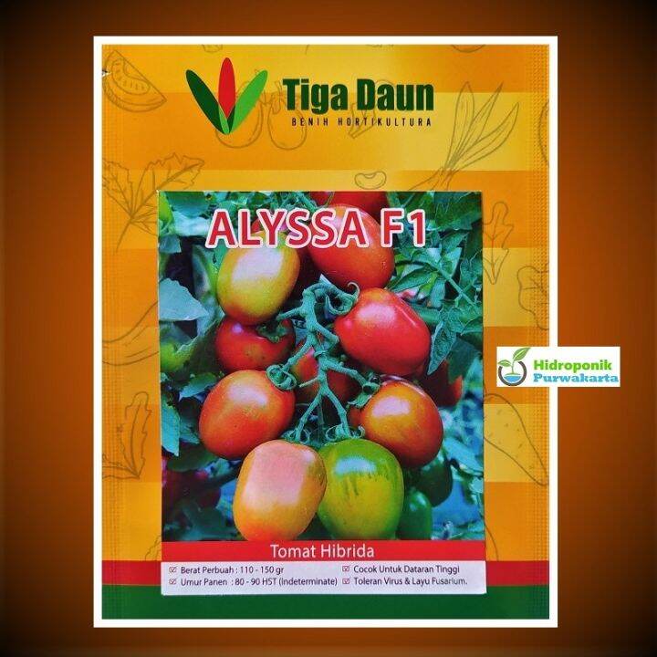 Benih Tomat Hibrida ALYSSA 10 Gram Cap Tiga Daun Tipe Indeterminate ...