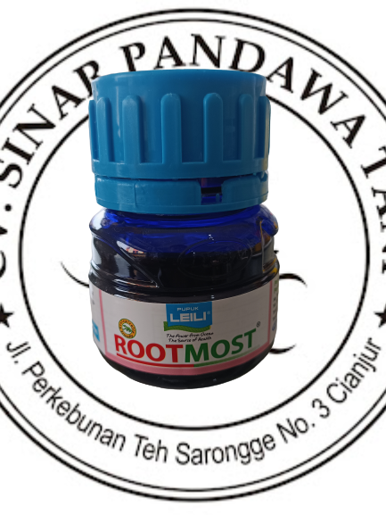 Nutrisi Tanaman Rootmost 100ML | Lazada Indonesia