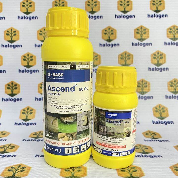 ASCEND FIPRONIL SYSTEMIC INSECTICIDE | Lazada PH