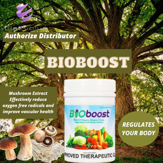 BioBoost daily life | Lazada PH