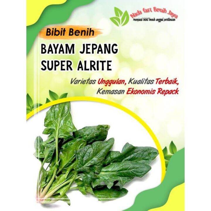 25 Biji sayuran Bayam jepang horenzo / Bibit tanaman sayuran | Lazada ...