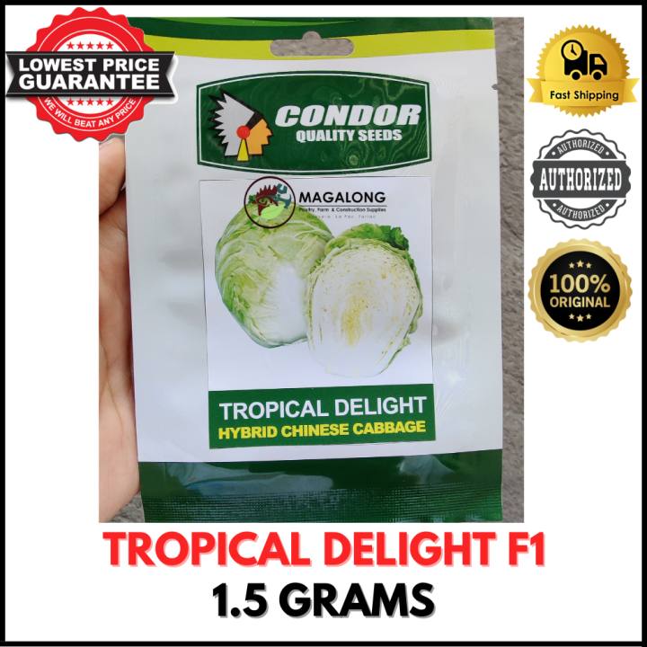 CONDOR SEEDS - CHINESE CABBAGE SEEDS - TROPICAL DELIGHT F1 HYBRID 1.5 ...