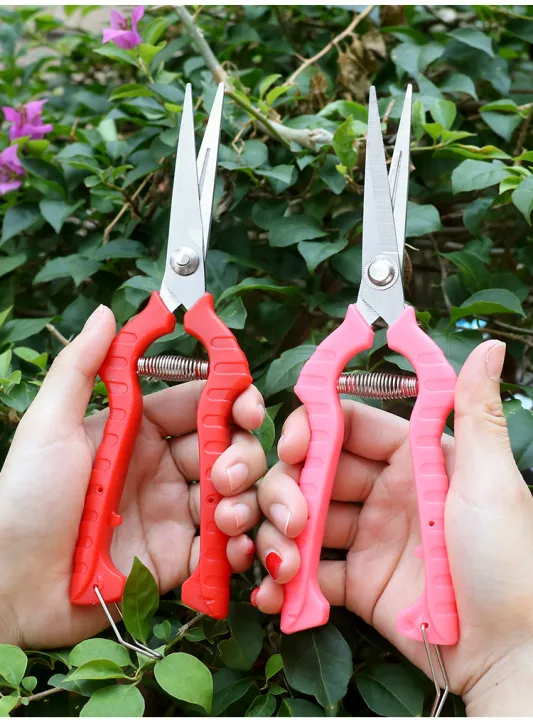 Gunting Pemetik Buah Stainless Steel Gunting Buah Tipis Grape Lada ...