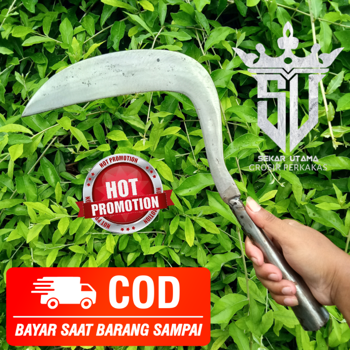 Sabit Potong Rumput Padi Baja Finishing Putih Super Tajam - Arit Gagang ...