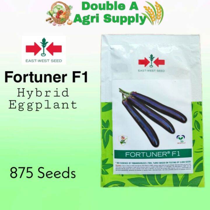 Fortuner F1 Hybrid Eggplant Asenso Pack - East West Seed | Lazada PH