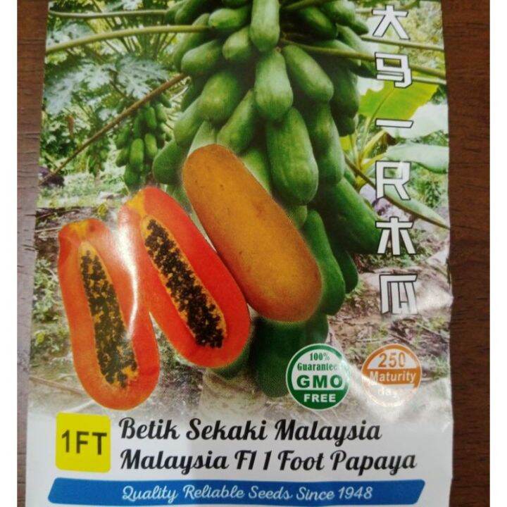 BETIK SEKAKI ( BAKA RENDAH )50seeds | Lazada
