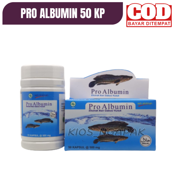 Pro Albumin Kapsul Extrak Ikan Gabus Kutuk ASH-SHIHAH - Proalbumin ...