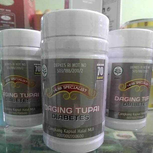 Original!! Kapsul Daging Tupai Obat Herbal Gula Basah/Kering Kencing ...