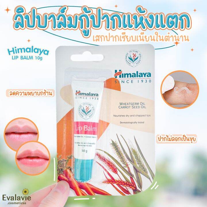 (ของแท้ 100% ฉลากไทย) Himalaya LIP BALM 10g. | Lazada.co.th