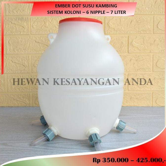 Ember Dot Minum Susu Cempe Kambing Domba Babi Koloni | Lazada Indonesia