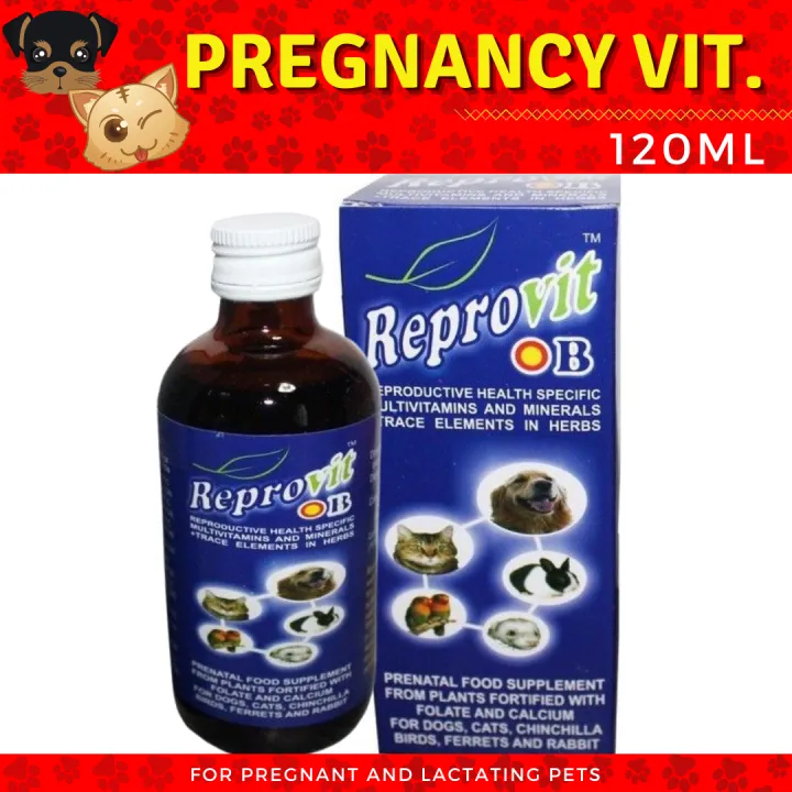 Reprovit OB for pregnant and lactating pets ♥ 120ml ♥ | Lazada PH