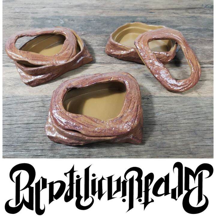 Nomoy Pet Reptile Resin Escape Proof Food Dish | Lazada PH