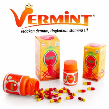 Vermint Kapsul Obat Typus Obat Demam 30 Kapsul | Lazada Indonesia