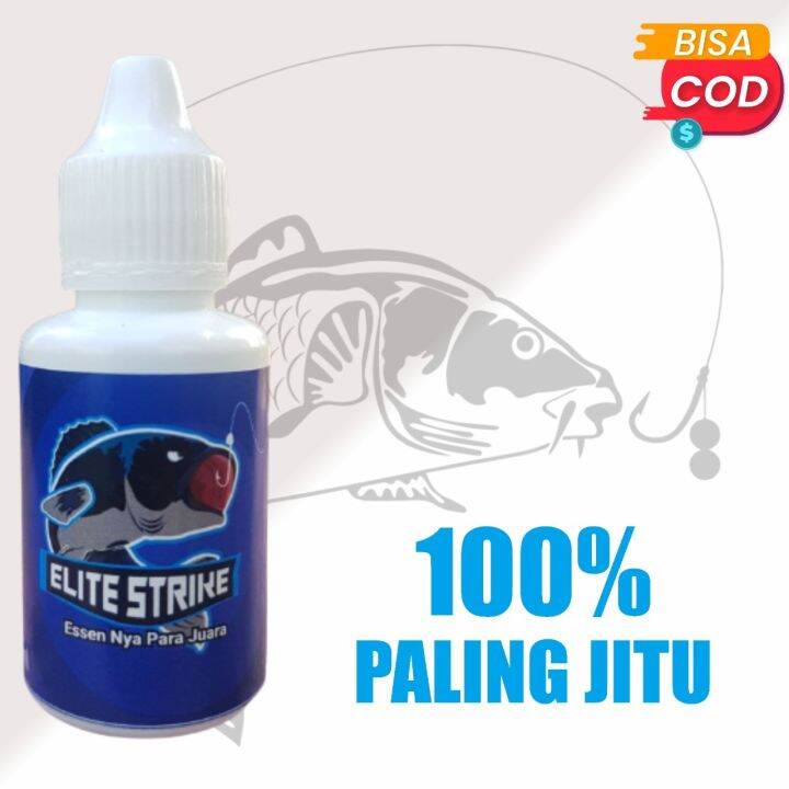 elite strike essen ikan mas harian lomba galatama kilo gebrus bagus semua muedia umpan dan ...