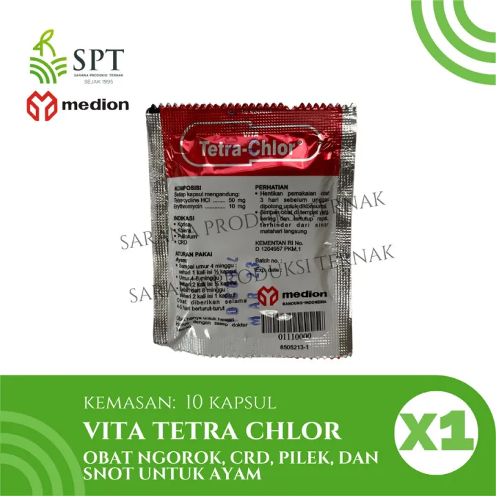 MEDION VITA TETRA CHLOR 10 KAPSUL OBAT AYAM NGOROK CRD PILEK SNOT ...