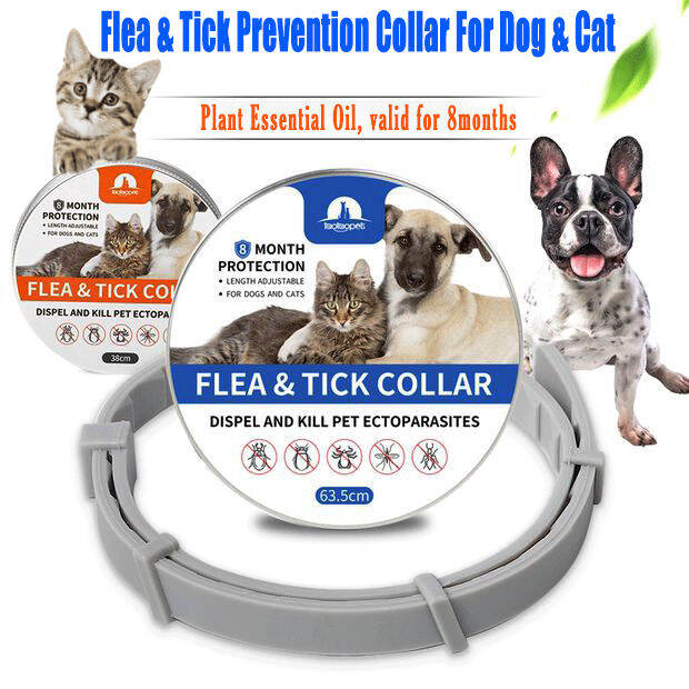 Flea & Tick Prevention Collar For Dog & Cat | Lazada
