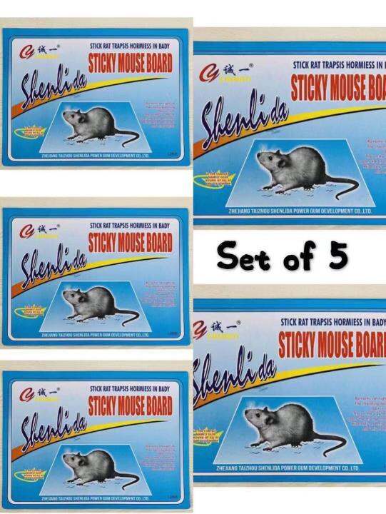set of 5 Rat & Mouse Sticky Mice Rodent Glue Board Bait Trap | Lazada PH