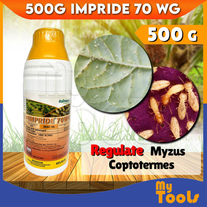 Mytools 500g Impride 70WG / Insecticides / Rainbow | Lazada