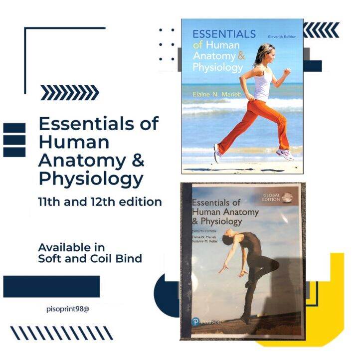 Essentials of Human Anatomy Physiology by Marieb 12th and 11th Ed ...