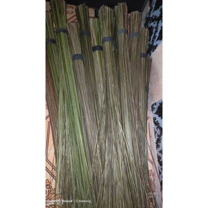 SAPU LIDI AREN JAMINAN KUAT DAN TAHAN LAMA | Lazada Indonesia