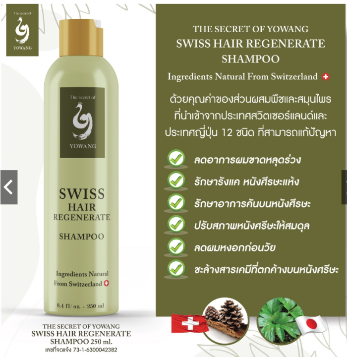 SWISS HAIR REGENERATE SHAMPOO#แชมพู 250 ml | Lazada.co.th