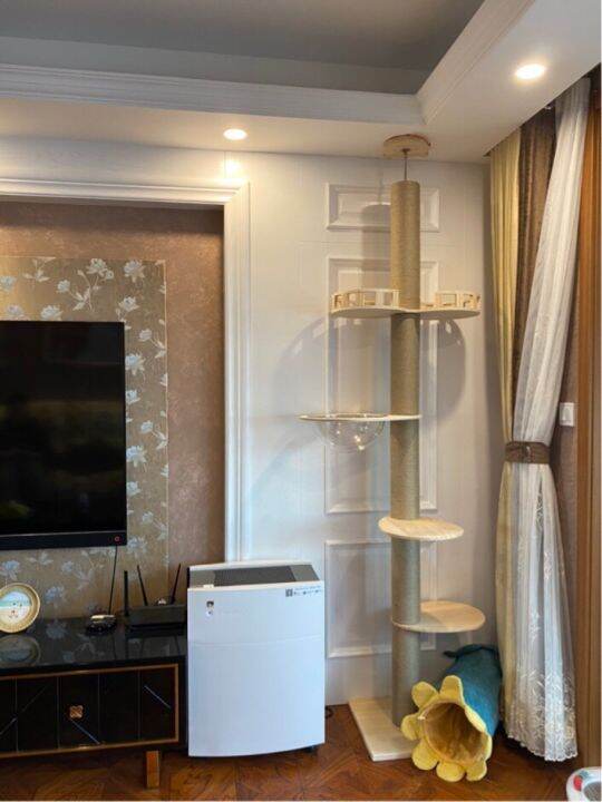Custom-made cat climbing frame with tongtian column stands tall and ...