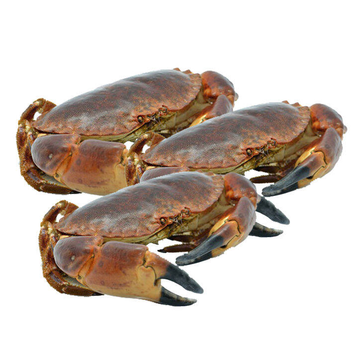 Zagana Fresh Seafood Market Alimasag Large 1kg | Lazada PH