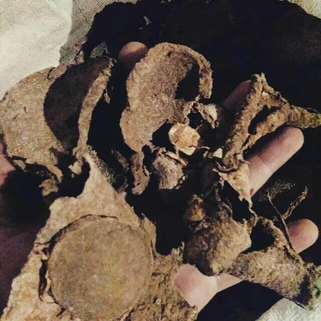 Ubi Suweg / Bunga Bangkai / Porang / Walur 100% Kering 500gram | Lazada ...