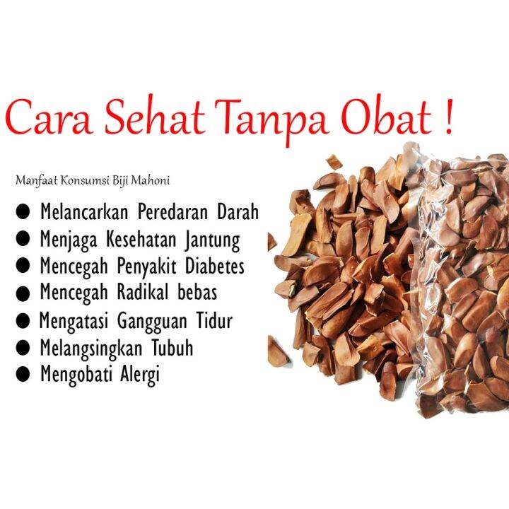 BIJI BUAH MAHONI HERBAL, untuk Diabetes dan menjaga kesehatan | Lazada ...