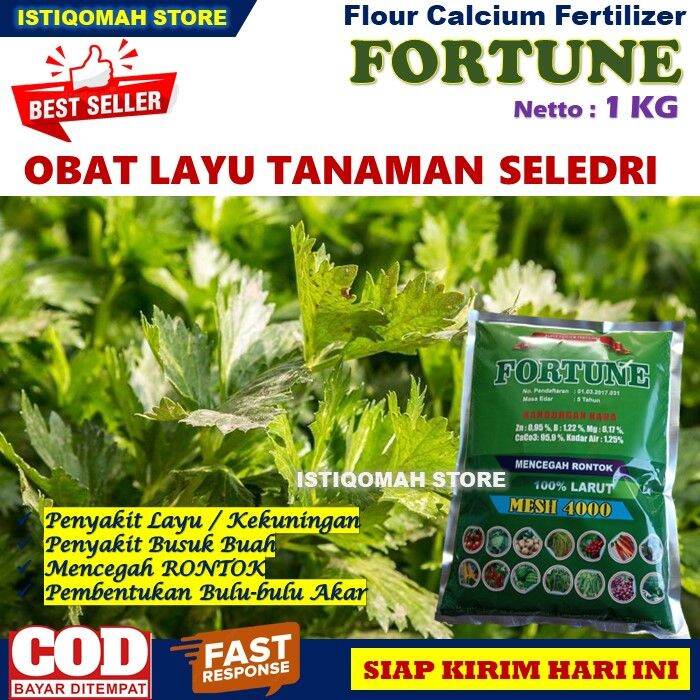 Pupuk Kalsium Bubuk Obat Layu Daun Seledri Paling Manjur FORTUNE 1KG ...