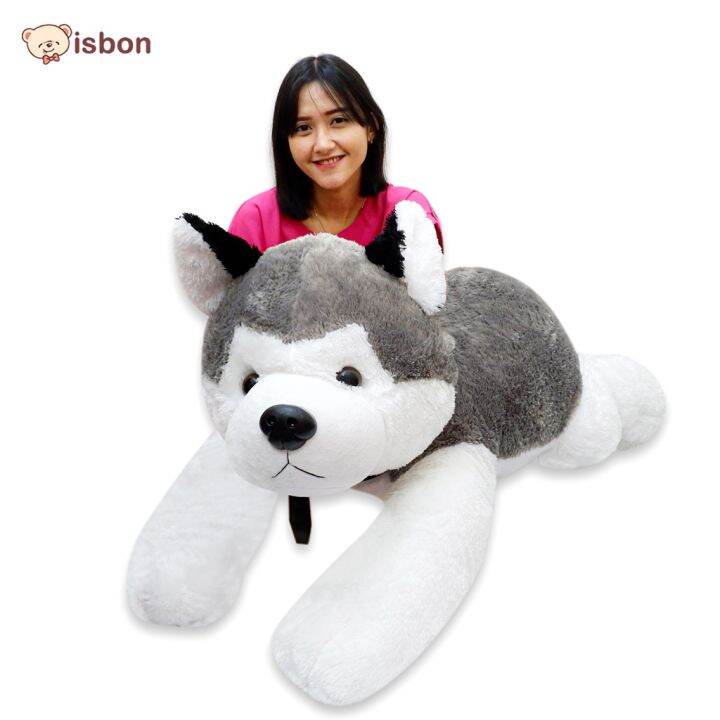 Boneka Serigala Jumbo Istana Boneka Ly Little Husky Super Besar ...