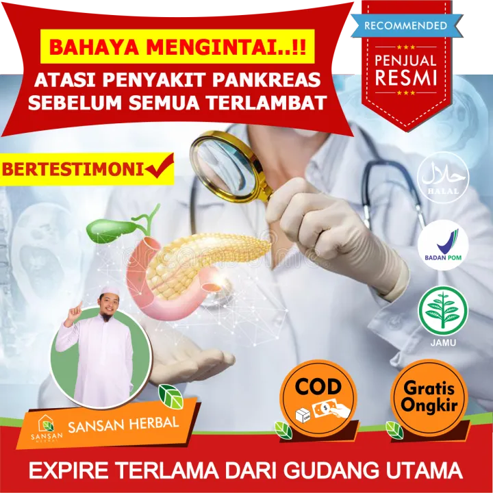 Obat Pankreas Di Apotik, Obat Radang Pankreas Alami, Obat Pankreas ...