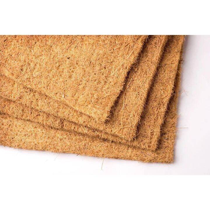 Coconut Fiber Mat 60x40cm 1pcs | Lazada