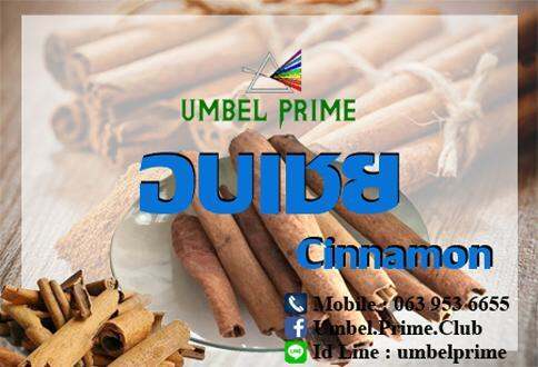 อบเชย (Cinnamon) ยี่ห้อ อัมเบล ไพร์ม ขนาด 250 กรัม | Lazada.co.th